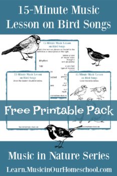 15-Minute Music Lesson on Bird Songs & Calls ~ Music in Nature Series ...