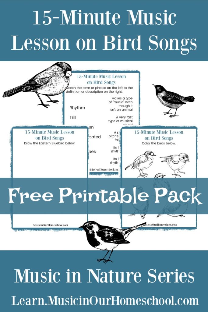 15-Minute Music Lesson on Bird Songs & Calls ~ Music in Nature Series ...