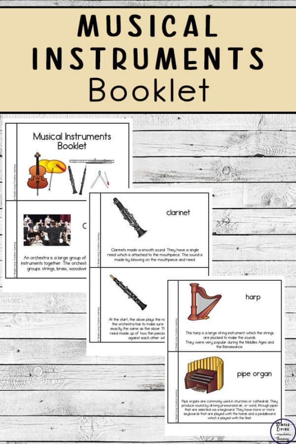 14+ Resources for Learning the Instruments of the Orchestra - Music in ...