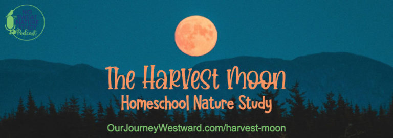 15-Minute Music Lesson of Music Inspired by the Moon ~ Music in Nature ...