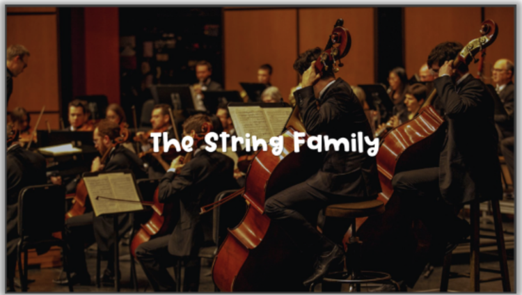 Introduction to the Orchestra: a Freebie - Music in Our Homeschool