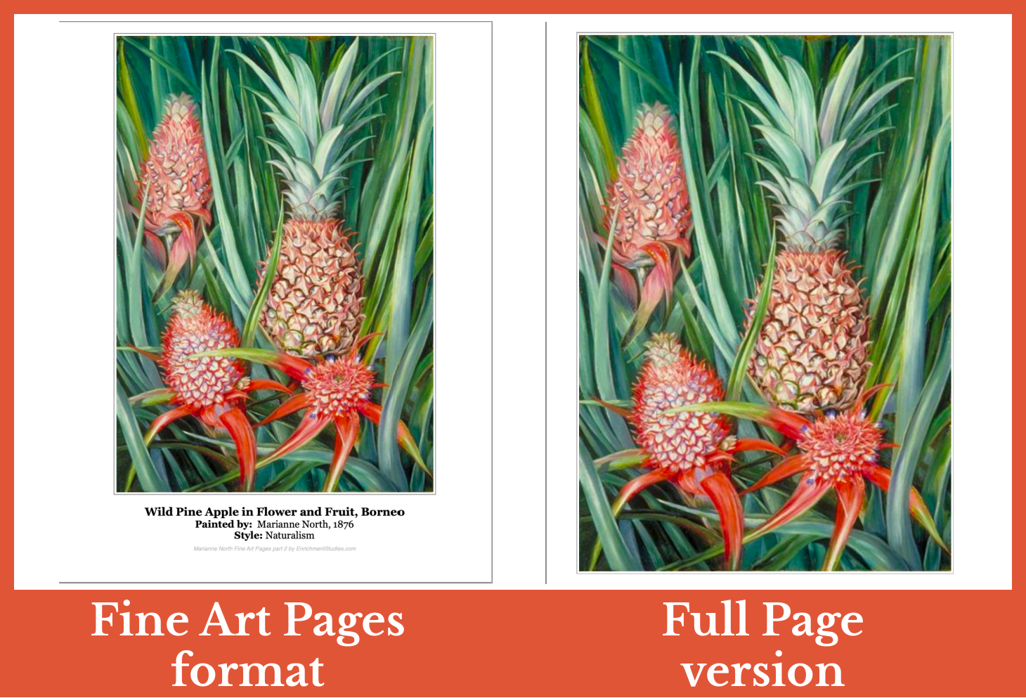 Printed Fine Art Pages - Music in Our Homeschool